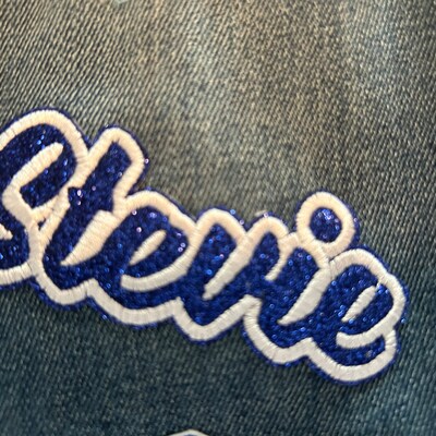 Red Tailed Hawk Bird Facing Right Iron on Applique Embroidered Patch ...