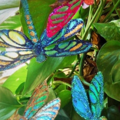 PIXIE GIFT CERTIFICATES Great for Christmas, Birthday, Special Occasion ...