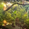 65+ Gallon Aquascape Decor SOUL CANYON Aquarium Dragon Rocks Nature for ...