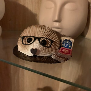 Small Paperbook Hedgehog - Etsy UK