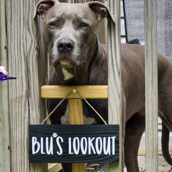 Cat Zone Sign - Pet Sign - Cat Lover Sign - Pet Decor - Cat Lover - Pet ...