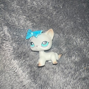 LPS Littlest Pet Shop 468 and 886 Shorthair Cats - Etsy