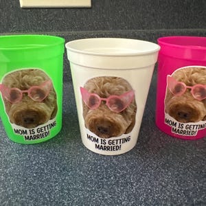 Bridal Wedding Veil Last Rodeo Bachelorette Bridal Shower Gift ...