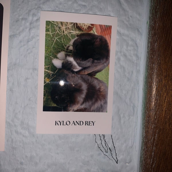 Polaroid Style Place Cards With Guest Picture, Personalized Photo ...
