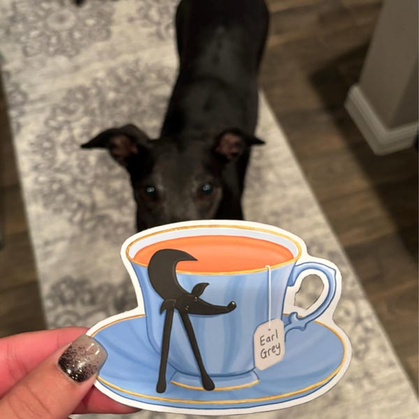 Conure Stickers / Cute Conures / GCC Green Cheek / Green Cheek Conure ...