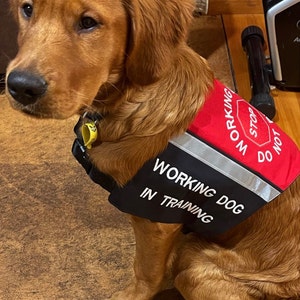 Custom Therapy Dog Vest S&R Vest Butterfly Vest Custom - Etsy