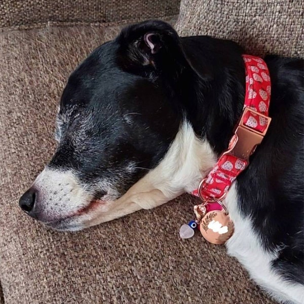 Evil Eye Pet Tag | Rose Gold Pet Tag | Pet Protection Charm | Amethyst ...