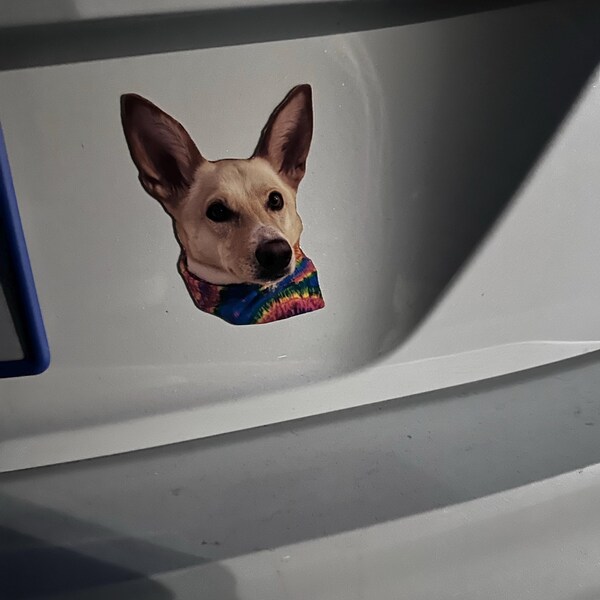 Personalized Baby Magnet - Baby Refrigerator Magnet - Custom Baby ...