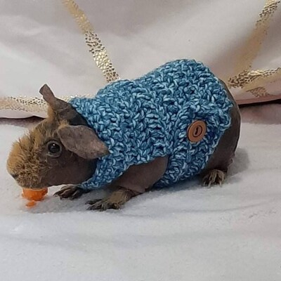 Crochet Pattern Guinea Pig Clothes, Guinea Pig Sweater Pattern, Skinny ...
