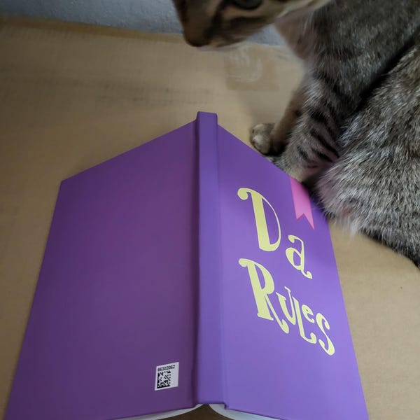 Stolas' Grimoire Cosplay Fanmade Hardback Journal Sketchbook Aesthetic ...