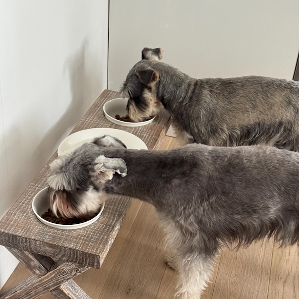 Dog Bowl, Dog Bowl Stand, Raised Dog Bowl Feeder, Elevated Feeder, Farm ...