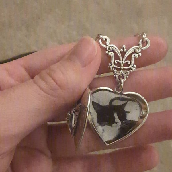 Gothic Vampire Bat Locket Necklace Made to Measure This Locket is a ...