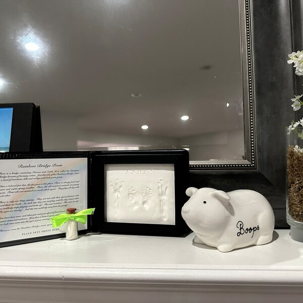 Guinea Pig Urn Ashes Casket - Etsy UK