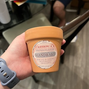 Hollywood VIP Name Tags, for Red Carpet Birthday Party Event high ...