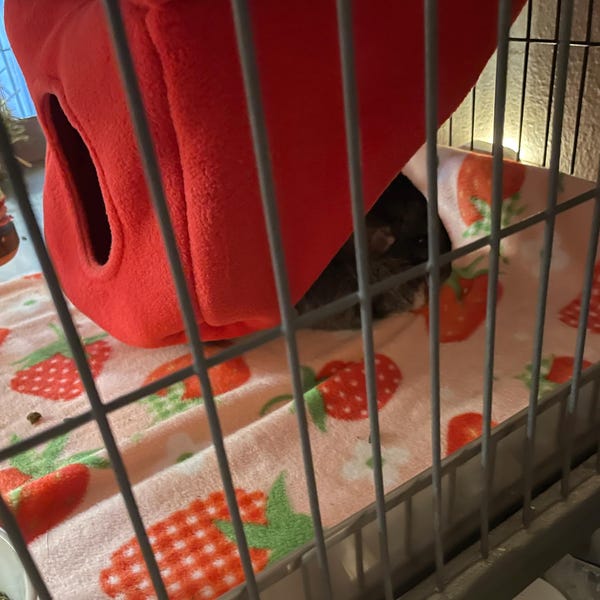 Ramp Covers ONLY for Wire Ramps | Fleece Ramp Covers | Nonslip off ...