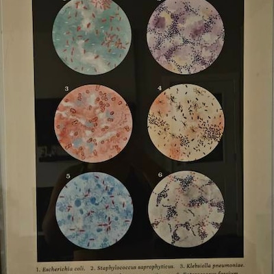 Thank You Card for Microbiology Professor, Chemistry, Biology, Science ...