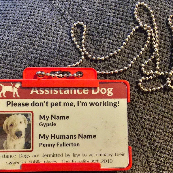 Zoo Keeper Photo ID Card, Kids Imagination and Play, Personalised ...