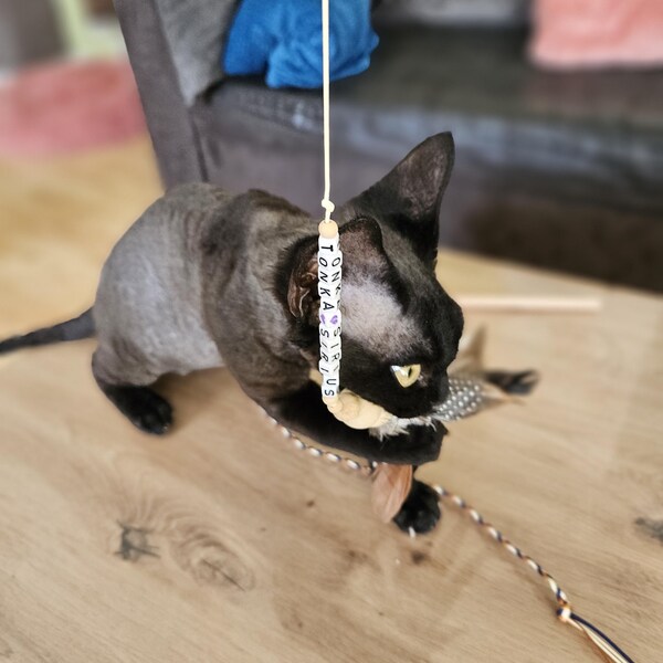 Cat Toy Wand Strings, Cat Fishing Pole. High Quality Handmade Cat Toys ...