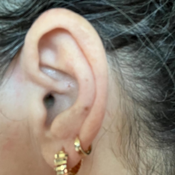 14k Yellow Gold Hoop Earrings 12-50x2.0mm, Piercing to Lobe, Upper-lobe ...