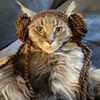 Alien Cat Costume - Etsy