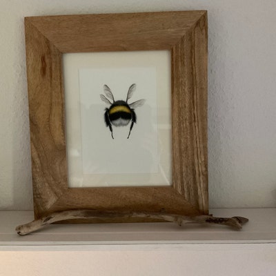 PRINT Flying Bumblebee, Bumblebees Butt, Realistic Bumblebee Wall Art, Zoological Illustration ...