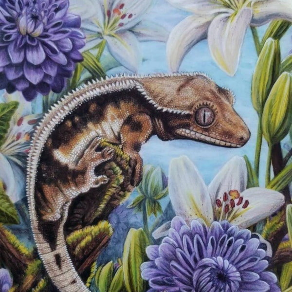 Crested Gecko Garden - LIMITED EDITION 11x14 Fine Art Print - by Laura ...