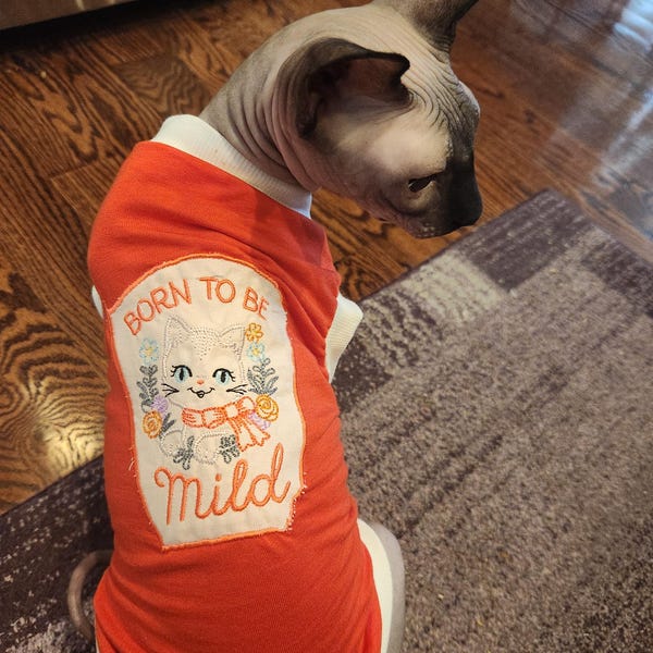 Cat Hoodie Sewing Pattern, Cat Turtleneck, Pet Gift for Cats Sphynx ...