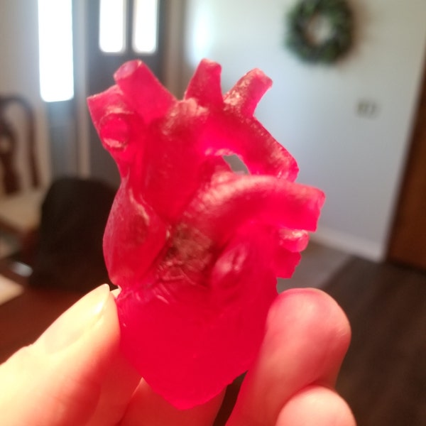 Anatomical Heart Magnet, Translucent Red Resin Sculpture | Gothic ...