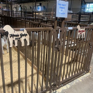 Show Rabbit Pen Sign, Custom Rabbit, Wood Livestock Show Sign With 3D ...