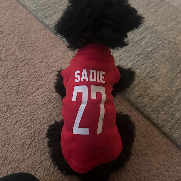 Custom Sports Dog Jersey - Personalized Dog Shirt With Name & Number ...