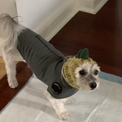 Monkey Dog Snood Knit Crochet Dog Hat Easter Dog Costume - Etsy