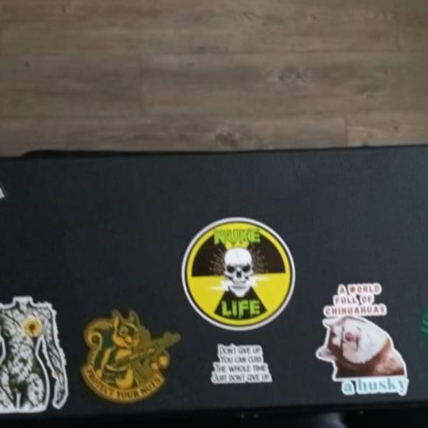 Mothman Stole My Bug Zapper - Funny Cryptid Bumper Sticker ...