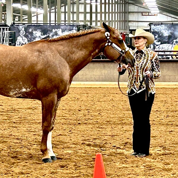 Western Light Pink Show Shirt Western Show Shirt for Women Horse Riding ...