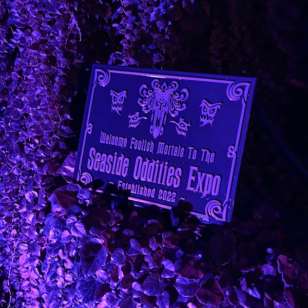 Personalized Haunted Mansion Inspired Home Welcome Sign / Plaque W ...