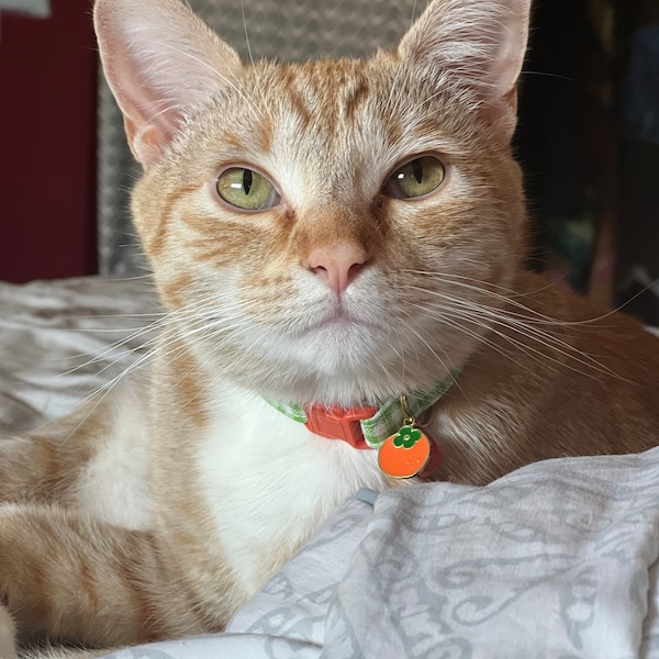 Clementine Cat Collar, Green Gingham Cat Collar With Clementine Charm ...