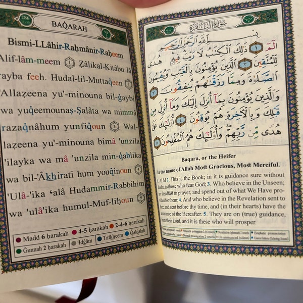 Small Quran Mushaf - Madinah Print (uthmani Script - Hardback 20x14cm ...