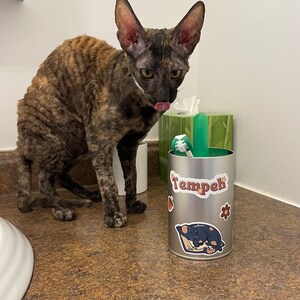 Snakes Vinyl Stickers/decals: Ball Python, Black Rat Snake, Corn Snake ...