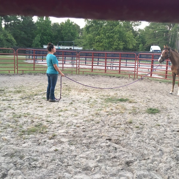 12' LEAD ROPE W/ Parelli Snap for Natural Horse Training - Etsy