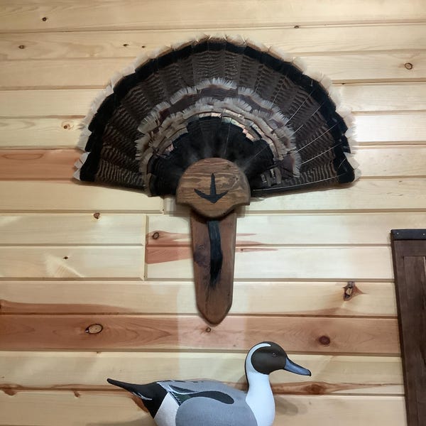 4-fan Turkey Fan Mount - Etsy