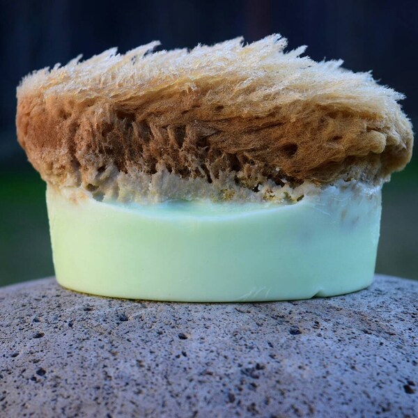 Sea Sponge 56sponges-natural Sponge-bath Sponge-soap Making Embeds-bath ...