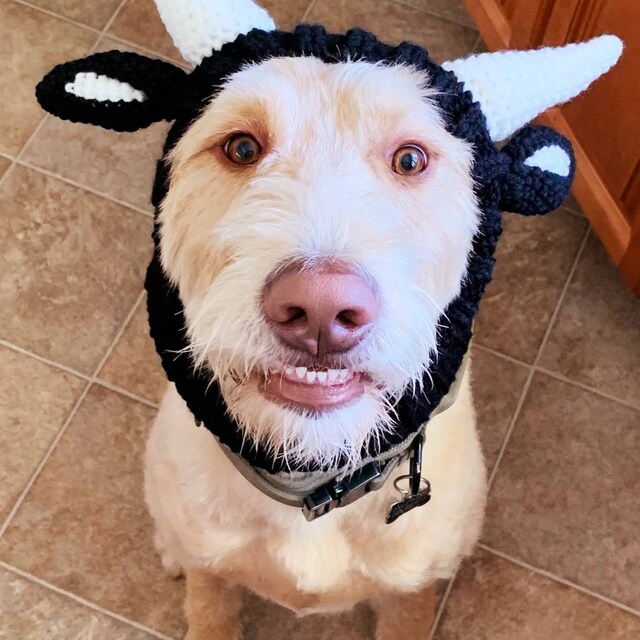 Zoo Snoods by ZooSnoods on Etsy