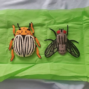 Felt Weevil Realistic Toy Felted Weevil Young Naturalist - Etsy