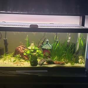 Nicrew Skyled Light Stand 2 Wide Base LED Riser, Fish Tank Light Lift ...