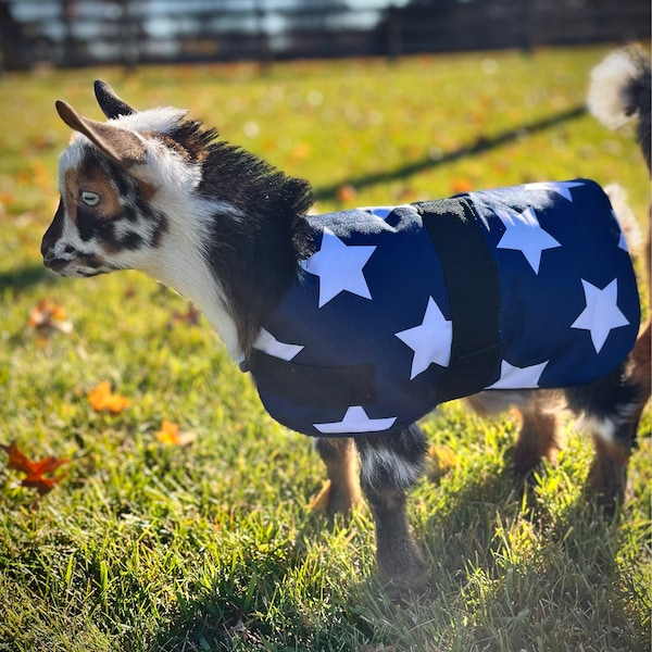 Insulated KID Goat Coat 14" Topline - Perfect for NEWBORNS - Etsy