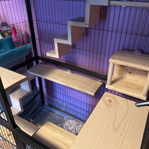 Crazy Critter 11 Pc Kiln Dried Pine Chinchilla//rat//degu//squirrel ...