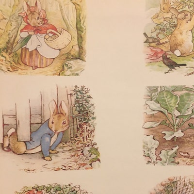Complete Beatrix Potter's the Tale of PETER RABBIT Illustrations ...