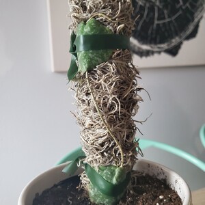 Macrame Plant Trellis Handmade Natural Trellis for Plants | Etsy