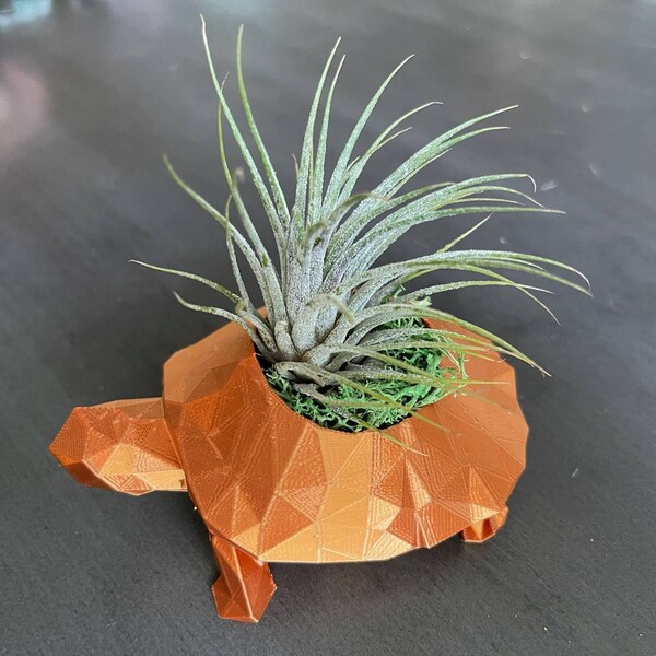 Zombie Planter, 3D Printed, for Succulents, Cacti or Stationary Desk ...