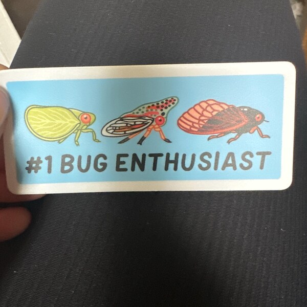 Number 1 Bug Enthusiast Iron-on Patch / Entomologist / Entomology ...