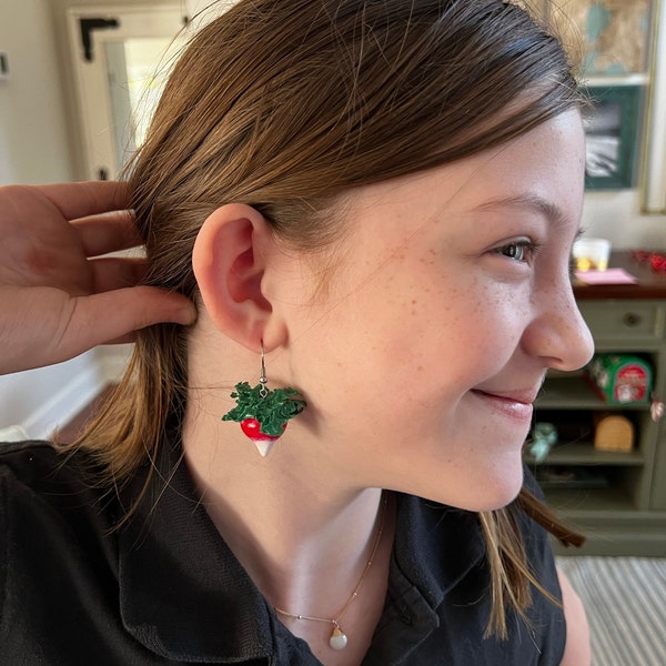 Potted Succulent Plant Earrings - Handmade Weird Unique Novelty Cute ...